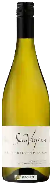 Sauvignon of Cave de Valençay - White wine of Val de Loire